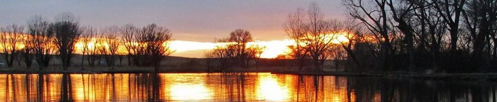 Community of Arnold Growing Great Things