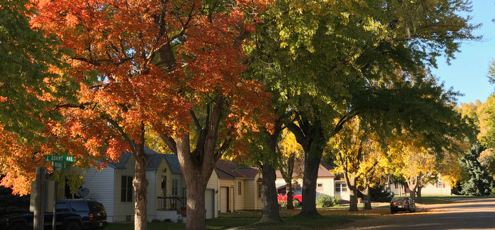 Community of Arnold Growing Great Things